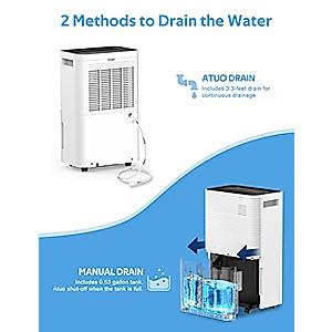 ZAFRO Dehumidifiers for Home, Bathroom, Bedroom, 45 Pints (50 Pint Under 90°F/90% RH) Dehumidifier with Auto Defrost, 4L Water Tank, 3 Colors LED Light, White