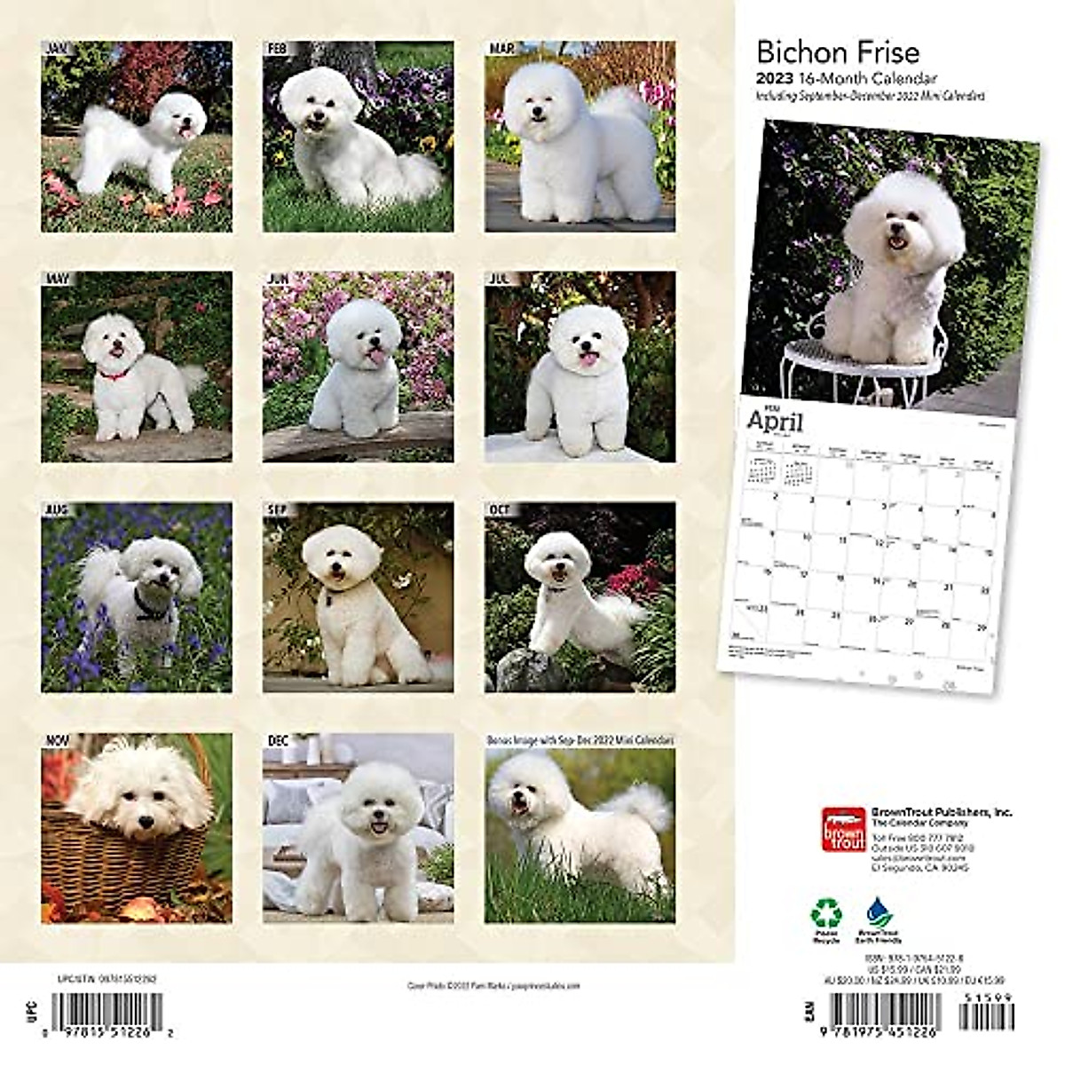 Bichon Frise | 2023 12 x 24 Inch Monthly Square Wall Calendar | Foil Stamped Cover | BrownTrout | Animals Dog Breeds DogDays