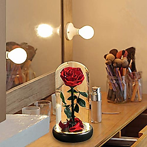 Dream of Flowers Birthday Gifts for Women,Beauty and The Beast Rose, Handmade Preserved Real Rose in Glass Dome on Black Wood with Warm Light, Rose Gifts for Women, Birthday, Anniversary Mothers Day