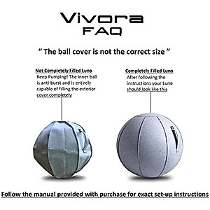 Vivora Luno Exercise Ball Chair, Lacewood Cover, Leatherette, Standard Size (22 to 24 inches), for Home Offices, Balance Training, Yoga Ball