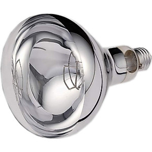 JIAWANSHUN Heat Lamp Bulb for Food Service 250W Heat Lamp Light Bulbs Infrared Heat Bulb for Food Heat Lamp (110V)