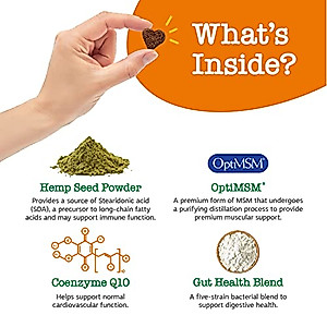 Zesty Paws 8-in-1 Bites for Dogs + Hemp Seed, 90 Count (Packaging May Vary)