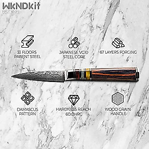 WKNDKIT Damascus VG-10 Stainless Steel Small 3.5 inch Paring knife japanese Kitchen knife with wood Handle, Super Sharp, Fancy Fruit and vegetable Knife