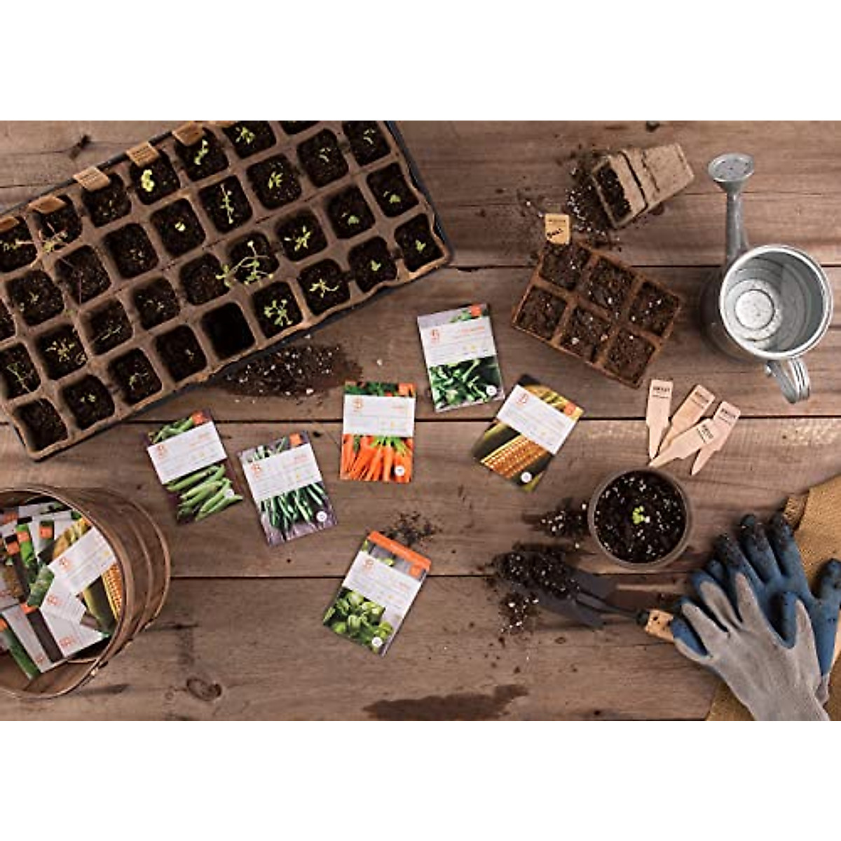 Bentley Seed Co. Set of 40 Vegetable Seeds for Planting - Gardening Seeds to Grow in a Garden or Indoors - Get your own Seeds for Planting Vegetables - Herb Seeds - Garden Seeds Vegetable Variety Pack