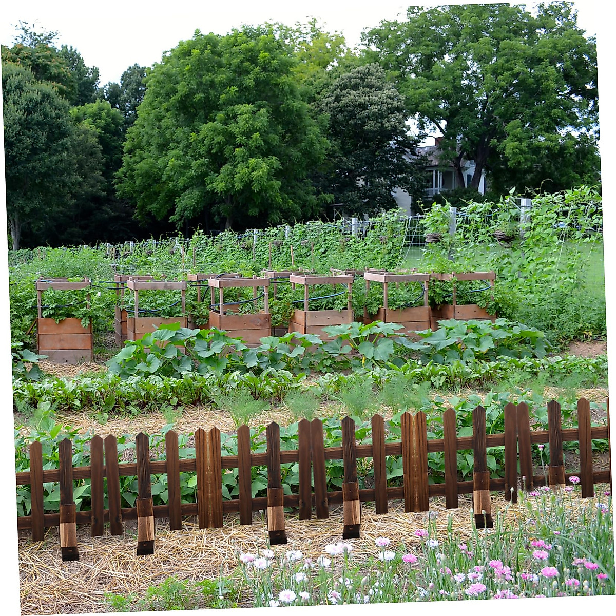 Happyyami 6 Pcs Dog Gate Support Feet Safety Fence Feet Base Floor Protection Feet Pet Enclosure Partition Support Legs Pet Supplies Shelves Fence Supplies Screen Wooden Outdoor Product Baby