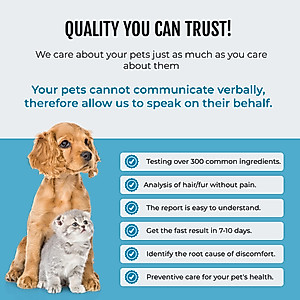 Healthy Stuff Online - Pet Sensitivity and Intolerance Test - Pet, Dietary, Sensitivity, Intolerance, at-Home Testing, Cats, Dogs, Horses - Animal DNA, Fast, Easy, Lab Results