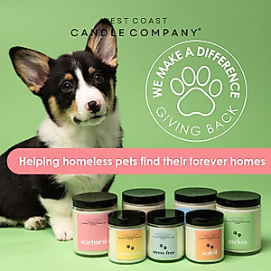 Pet Friendly Candle | Pet Safe Candle | All Natural Soy Candle | Non-Toxic Candle | Pet Odor Eliminator | Clean Burning Candle | Air Freshening Scented | Veterinarian Approved | 4 oz (Horchata)