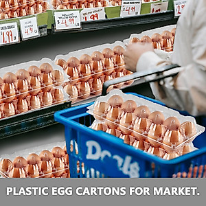 60PCS Egg Cartons Reusable Plastic Egg Carton 12 Count, 1 Dozen Clear Blank Egg Cartons Cheap Bulk for Large Eggs, Blank Chicken Egg Tray Holders for Family, Chicken Farm, Business Market Display