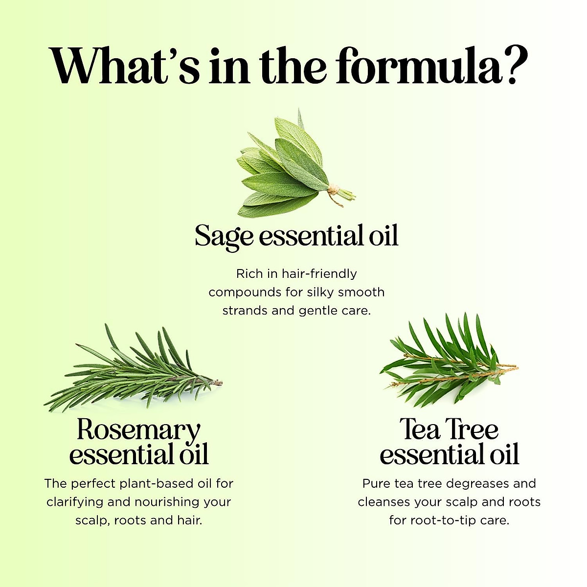 Sulfate Free Shampoo and Conditioner Set - Tea Tree Sage and Rosemary Shampoo and Conditioner for Dry Flaky Scalp Care - Deep Cleansing Color Safe Shampoo and Conditioner for Damaged Dry Hair Care