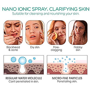 VOYOR Facial Steamer for face Professional - Nano Ionic hot Mist Face Steamer for Facial Deep Cleaning Pore, Blackhead Removal, Home Mini Sauna Spa Moisturize Skincare kit ZL100 US (110)