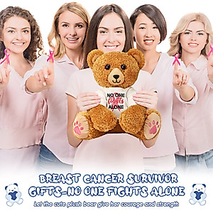 Chalyna Breast Cancer Stuffed Bear 16 Inch Plush Breast Cancer Awareness Bear Animal Pink Ribbon Bear Soft Cancer Survivor T Shirt Bear Breast Care Gift for Women