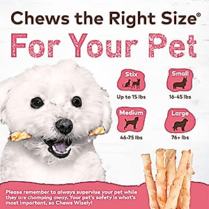 EARTH ANIMAL No Hide Stix Salmon Flavored Natural Rawhide Free Dog Chews Long Lasting Dog Chew Sticks | Dog Treats for Small Dogs and Cats | Great Dog Chews for Aggressive Chewers (3 Pack)