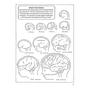 My First Book About the Brain (Dover Science For Kids Coloring Books)