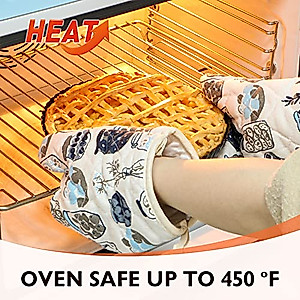 HONGBAKE Round Tart Pan 9 Inch with Removable Bottom, Nonstick Quiche Baking Pan for Oven, Tarts Tin for Cheese Cakes, Desserts