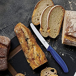 Victorinox Swiss Classic Tomato and Table Paring Knife, 4.3 inches, Blue