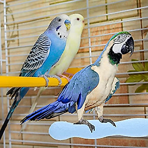 TEHAUX Parrot Toys Bird Perch, Parrot Perch Stand Toy 20cm Bird Cage Perch (Random Color) Bird Cage Accessories