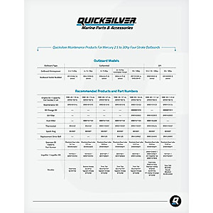 Quicksilver 16248 In-line Fuel Filter for Mercury and Mariner 2-Cycle and 4-Stroke Outboards