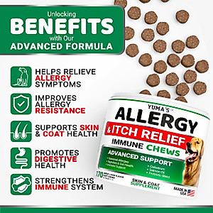 Dog Allergy Relief Chews - Dog Itching Skin Relief Treatment Pills - 170 Treats - Itchy and Paw Licking - Anti-Itch - Dry Skin & Hot Spots Omega 3 Fish Oil Skin & Coat Supplement - Beef Liver Flavor