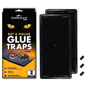 Kingman Prime Rat Mouse Rodent Pest Glue Trap (Large Size) Tray Heavy Duty (5 Pack/ 10Traps) with Connectors