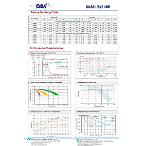 Casil Honeywell Genuine CA631 6V 3.1Ah SLA Battery for 7845GSM-K14139 (1)