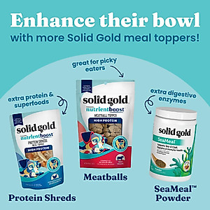 Solid Gold NutrientBoost Meal Topper for Dogs - Plasma Infused Dog Food Topper & Treats - Gut Health & Immune System Support - Grain Free Additive with Vitamins, Minerals, Protein & Amino Acids - 1 Lb