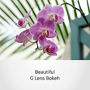 Sony SELP18105G E PZ 18-105mm F4 G OSS (Renewed)