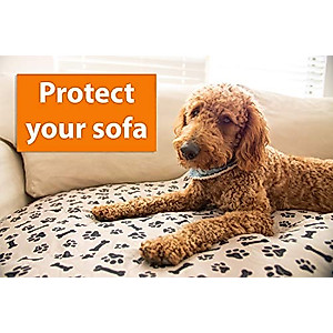 JUNGLE CREATIONS Washable Pee Pads for Dogs (3-Pack) Reusable Waterproof Potty Training Mats for Puppy Playpen, Whelping Box, Crate Liner for Small, Medium, Large, and XL Pets (30" x 36")