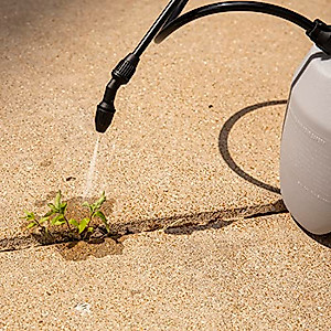 Spectracide Weed And Grass Killer Concentrate 40 Ounces, Use On Patios, Walkways And Driveways