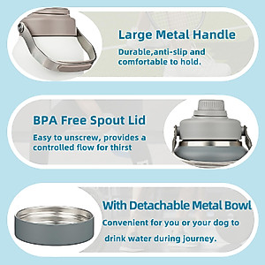 BJPKPK 64oz Insulated Water Bottles, Dishwasher Safe Half gallon Water Bottle with Metal Handle, BPA Free Spout Lid & Detachable Bowl, Large Stainless Steel Water Jugs, Pink