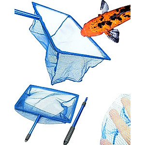 CORISRX BEST OF YOUR LIFESTYLE 12"x 8" Koi Adjustable Fish NET Handle 30~54cm Aluminum Fishing Pond Tank Blue