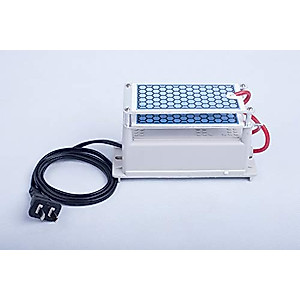 Ozone Generator air purifier 10000 mg/h Equal to 10g/h ozone plates ozone maker machine 110V