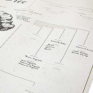 Okuna Outpost Blank Genealogy Chart, My Family Tree (17 x 22 Inches, 15 Pack)