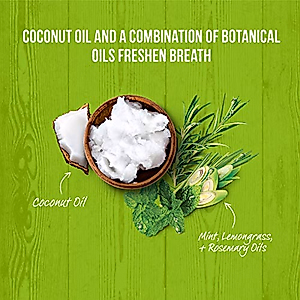 Merrick Fresh Kisses Dog Dental Treats, Coconut Plus Botanical Oils Recipe, Dog Treats for Small Breeds 15-25 Lbs - 23 oz Box with 36 Brushes