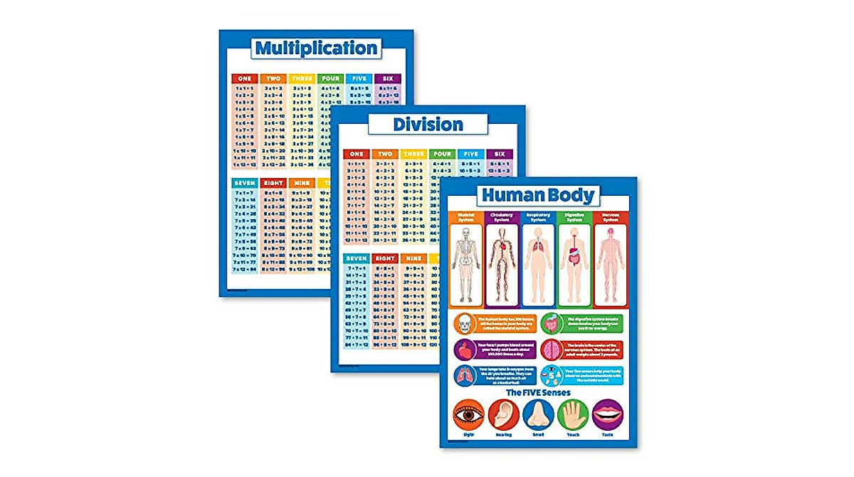 Palace Learning 3 Pack - Multiplication Tables Poster + Division ...