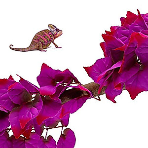 FiveBull Reptiles Plants, 2 Pieces Hanging Silk Terrarium Pink Leaves Décor, Terrarium Plants for Bearded Dragons,Lizards,Geckos,Snake Pets, Reptile & Amphibian Habitat Plants