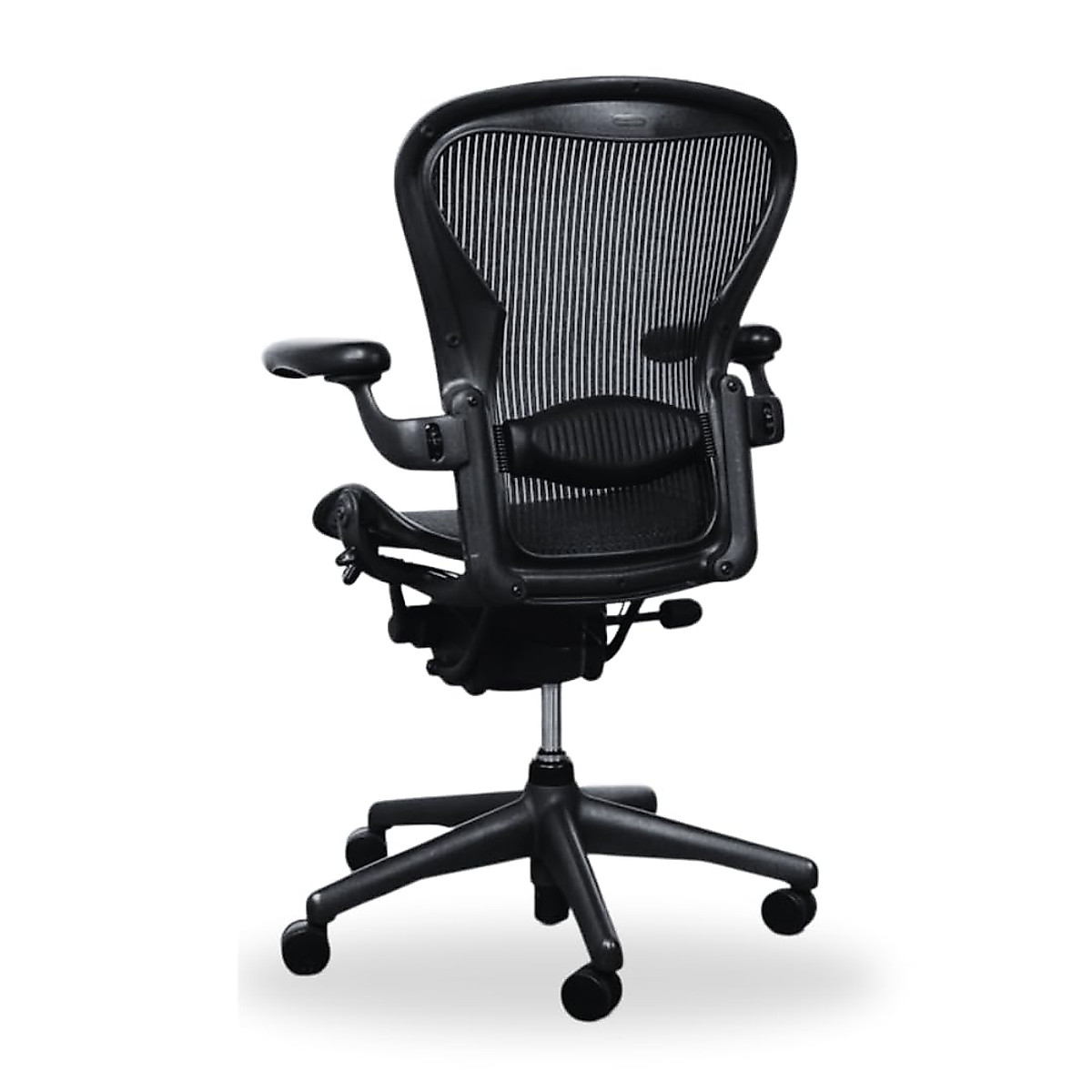 Aeron Herman Miller Office Chair Size B | Fully Adjustable with All Features Included| Quick and Easy Assembly| Renewed| 10 Year Warranty| Hardwood Floor Roller Blade Style Wheels Included
