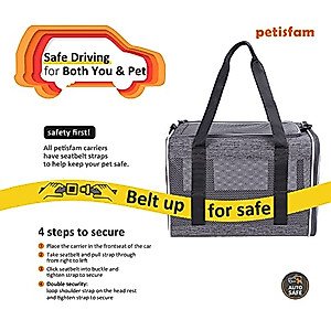 Top Load Soft Pet Carrier for Large and Medium Cats, 2 Kitties. Sturdy, Well-Ventilated, Cozy, Collapsible, Easy to get cat in