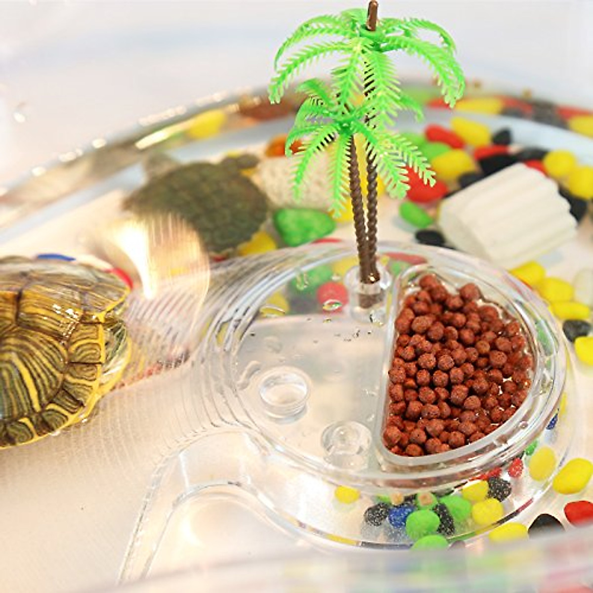 OMEM Portable Reptile House Terrarium Habitat Clear and Breathable (Medium)