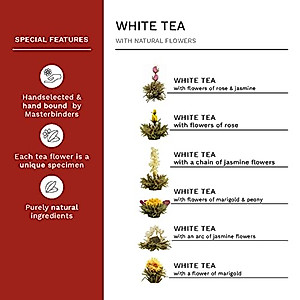 Creano Flowering Tea Gift Set - White Tea – 6 Blooming Tea with 17oz Glass Teapot