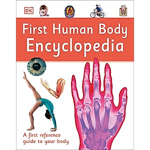 First Human Body Encyclopedia (DK First Reference)