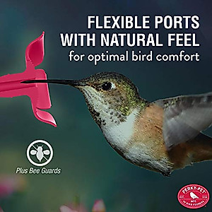 Perky-Pet 9100 Handheld & Tabletop Hummingbird Feeder