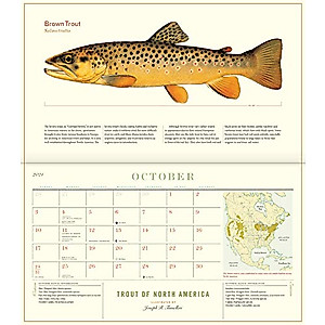 Trout of North America Wall Calendar 2021