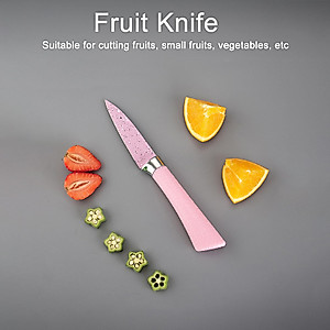 HEEPDD 6 Piece Kitchen Knife Set, Non Stick Coated Chef Knives Set Stainless Steel Colorful Knifes for Cutting Slicing Dicing Chopping ()