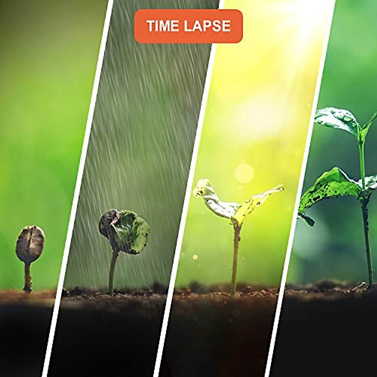 Rexing TL1 Time-Lapse Camera 2.4” LCD 1920x1080 Full HD Video 110° Wide-Angle Lens 6 Month Battery Life 2W White LED Loop Recording, Storage up to 512GB For Photography,Construction,Nature Observation