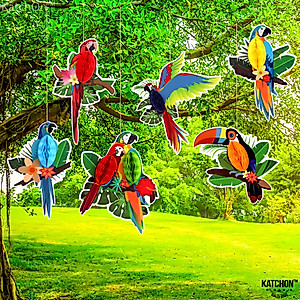 KatchOn, Tropical Birds Honeycomb Cutouts - Big, Pack of 6 | Luau Party Decorations | Tropical Party Decorations, Hawaiian Party Decorations, Rainforest Decorations | Jungle Decorations, Tiki Party