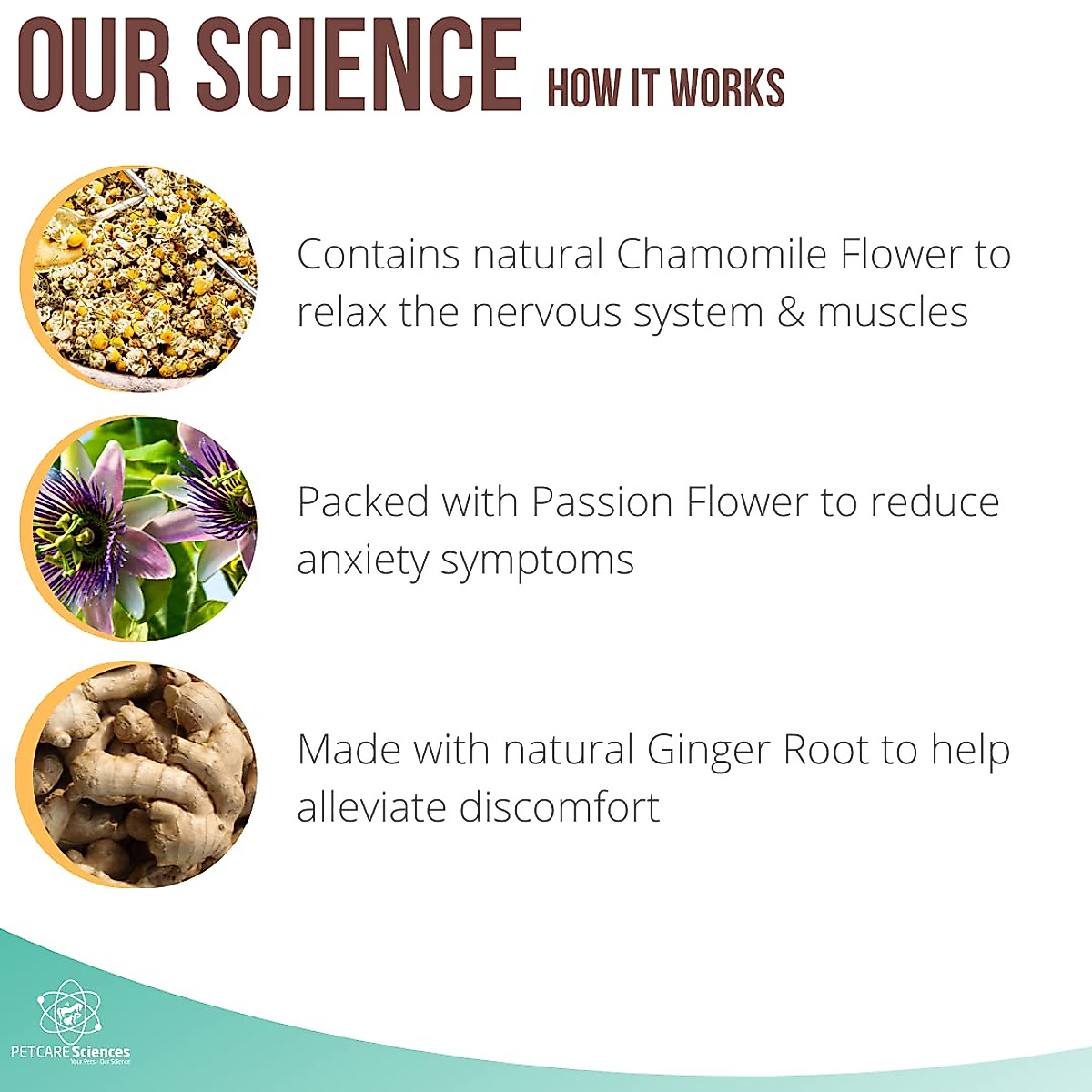 PET CARE Sciences Approx 100 x Calming Chews for Dogs or to Calm Puppy - Natural Dog Anxiety Relief - Anti Car Motion Sickness for Dog Calming Treats - Made in The USA