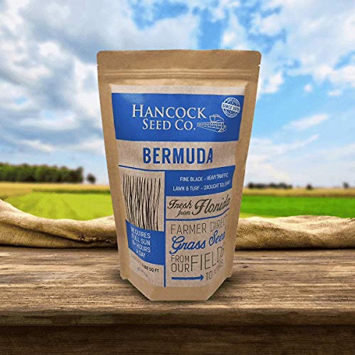 Hancock's Common Bermuda Fall & Winter Grass Seed Mix - 25 lbs.