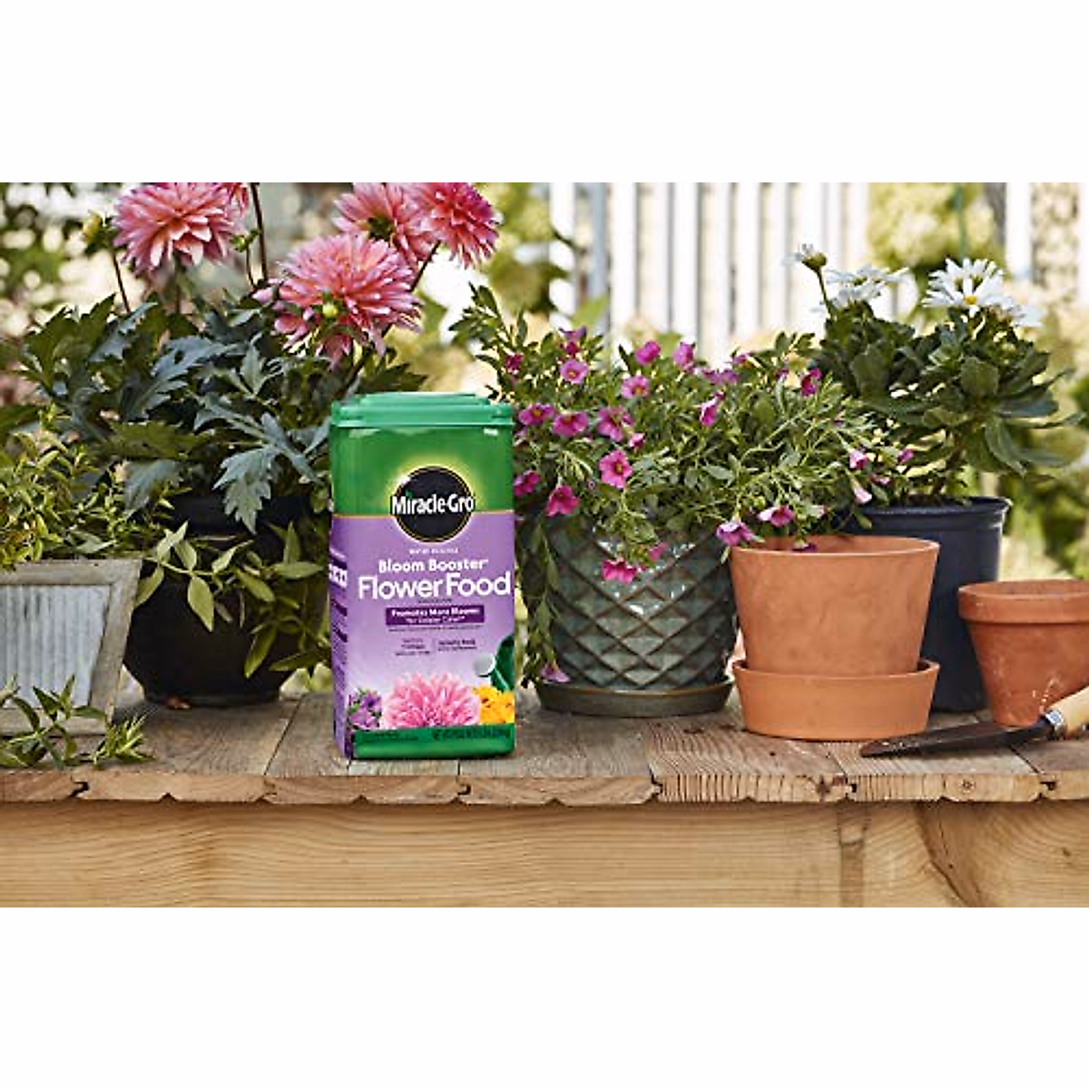 Miracle-Gro Water Soluble Bloom Booster Flower Food - Big Blooms for Vibrant Color, 5.5 lb.