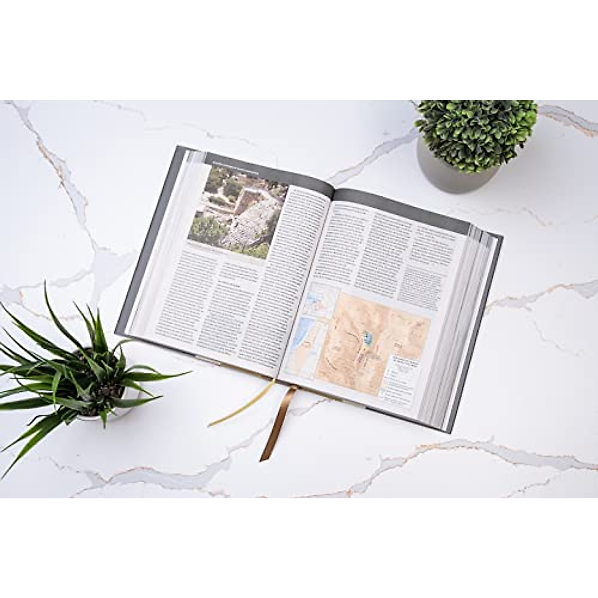 RVR 1960 Biblia ilustrada de la Tierra Santa, tapa dura / RVR 1960 Holy land Study Bible, Hardcover (Spanish Edition)