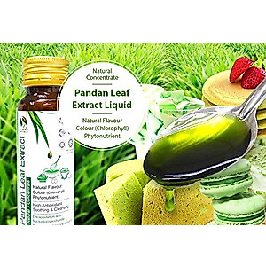 Vanilla of the East, Fresh Natural Asian Gourmet Baking Ingredient, Natural Flavor, Natural Color Chlorophyll of Pandan Leaf Extract Concentrate for Bakery & Beverage (200g) 2 Bottles LY